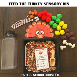 Feed the Turkey Sensory Bin Kit: Montessori Play, Action Cards ...