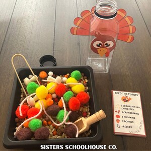 Feed the Turkey Sensory Bin Kit: Montessori Play, Action Cards ...
