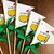 MASTERS Table Numbers Golf Flags, Birthday, Golf Holes, Travelled ...