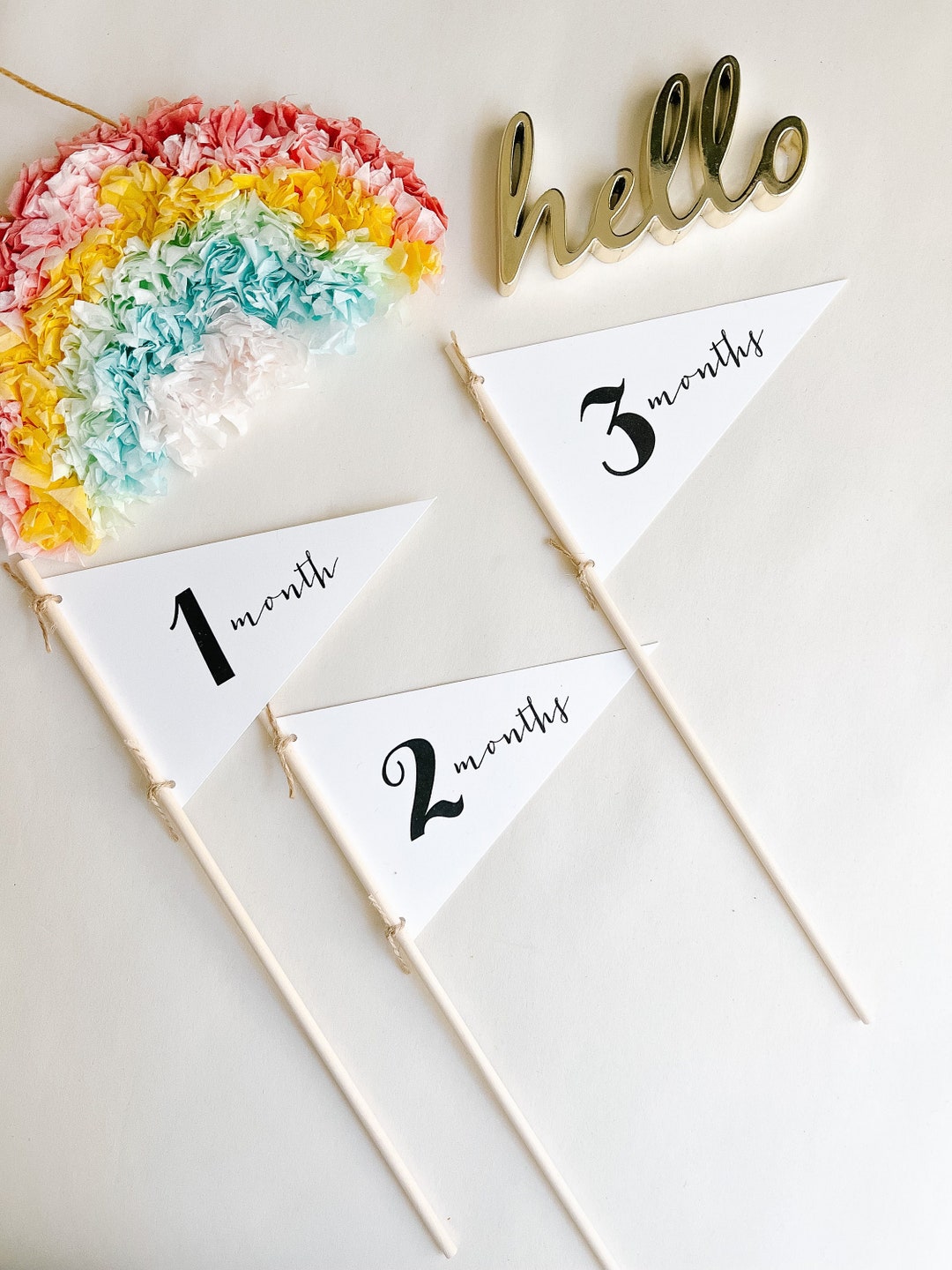 Baby Monthly Milestone Pennant Flags - Etsy