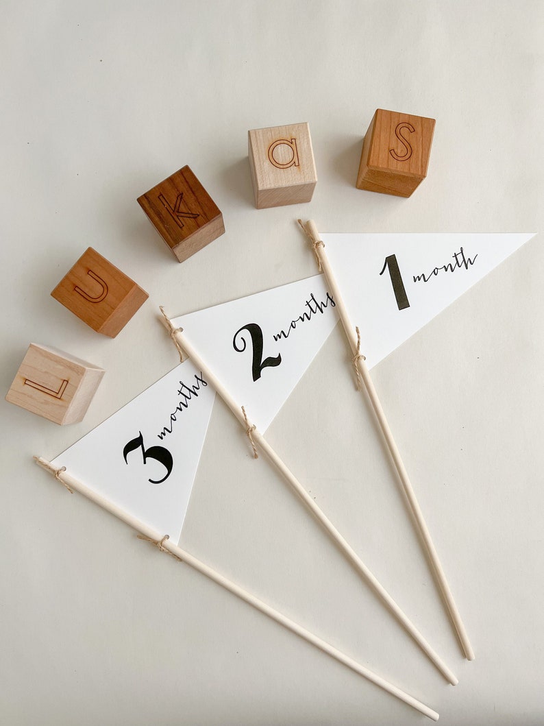 Baby Monthly Milestone Pennant Flags - Etsy