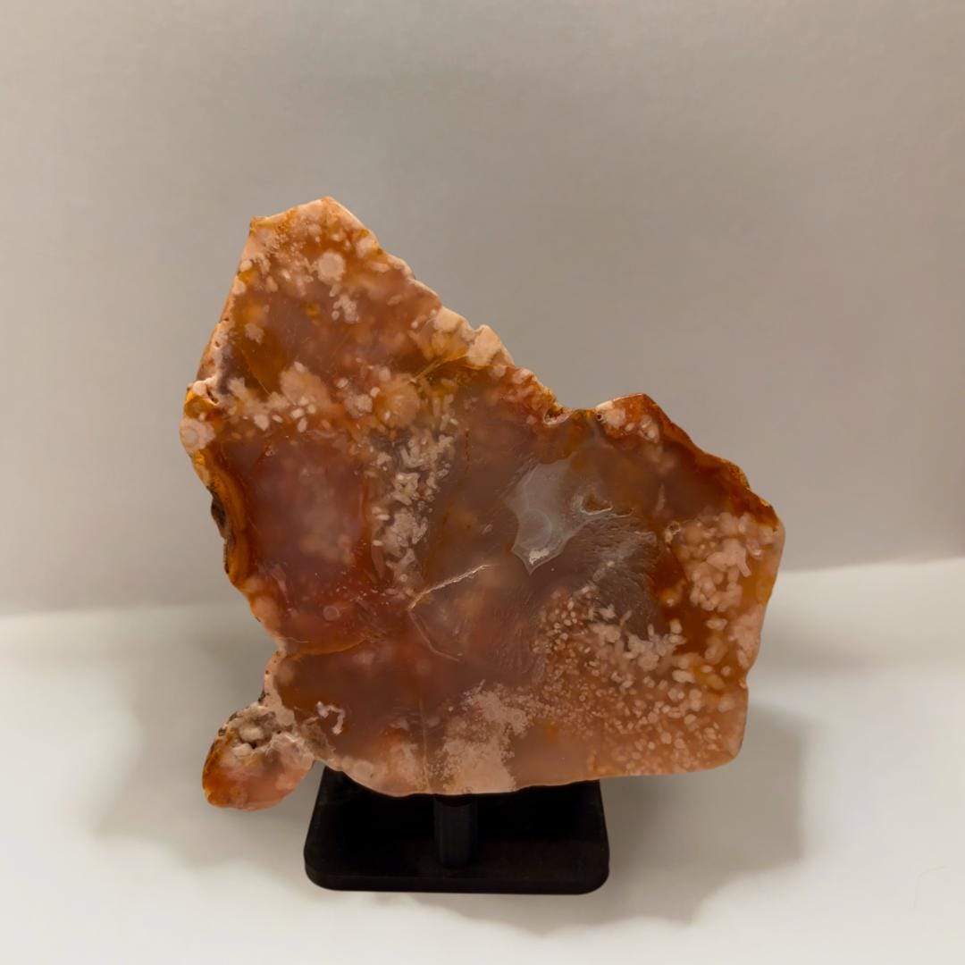 Flower Agate Slab - Etsy