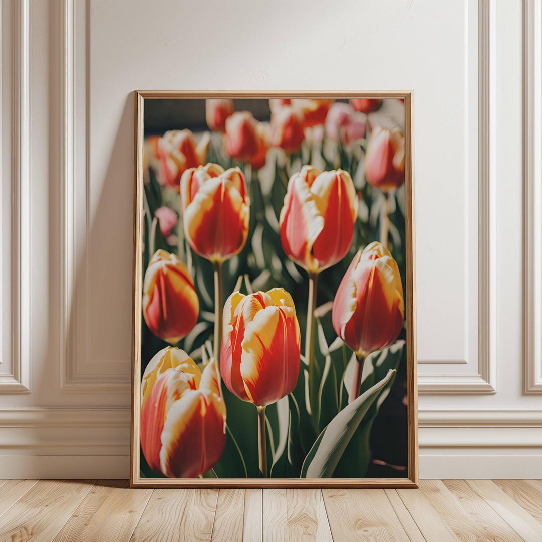 Flower Photography Flower Photo Print Tulips Print Tulips Png Landscape ...
