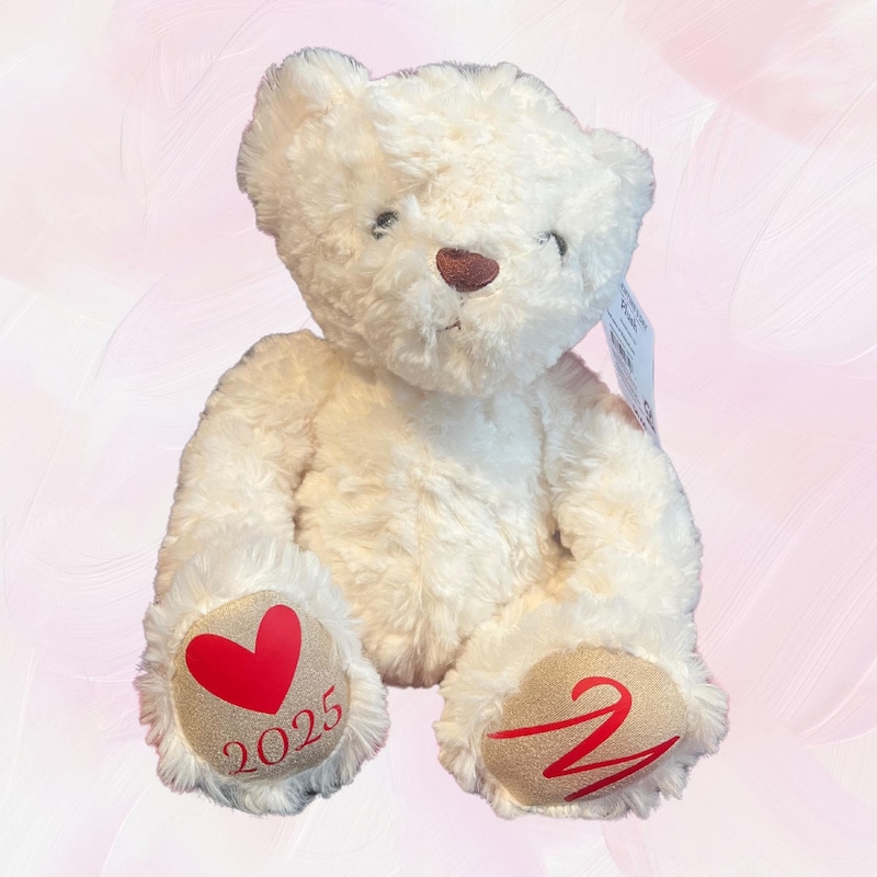 Valentine Teddy Bear - Etsy