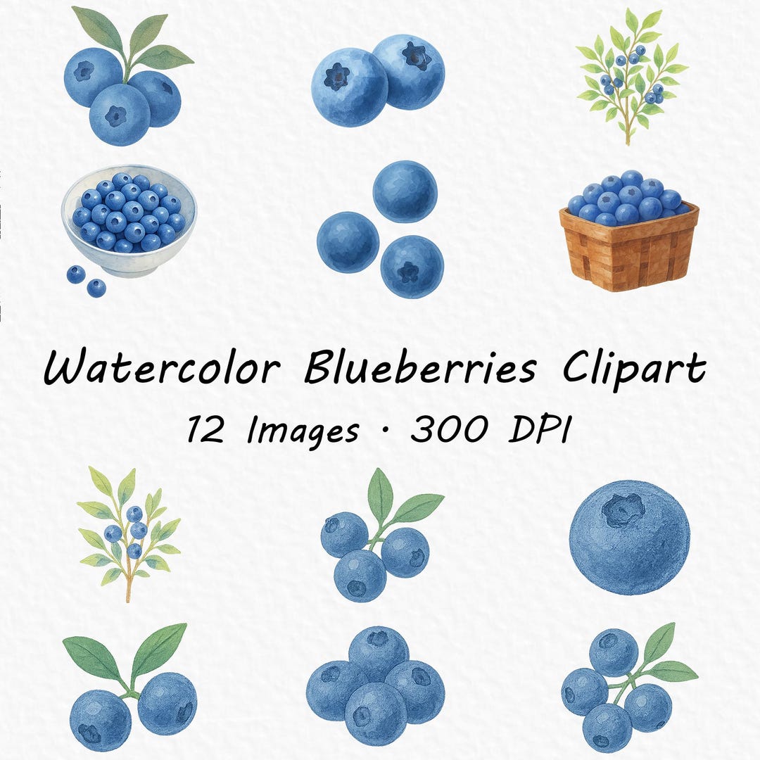 Watercolor Blueberries Clipart, Watercolor Fruit Clipart, Watercolor ...