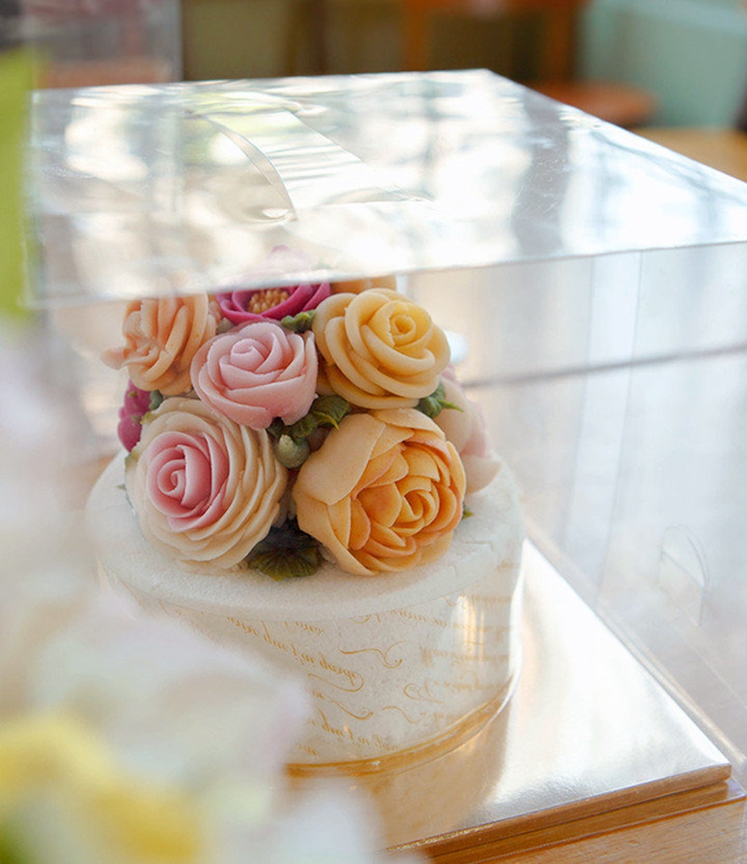 5 Clear Cake Cases With Handle, 5 Trays 27 Cm, About 10.62 Inches no. 3 ...