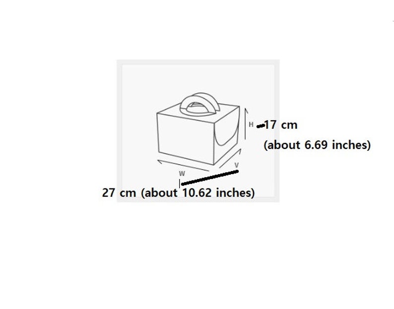 5 Clear cake cases with handle 5 trays 27 cm about 10.62 | Etsy