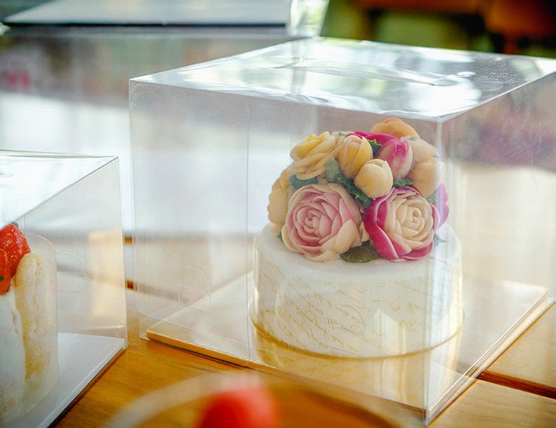 5 Clear cake cases with handle 5 trays 27 cm about 10.62 | Etsy