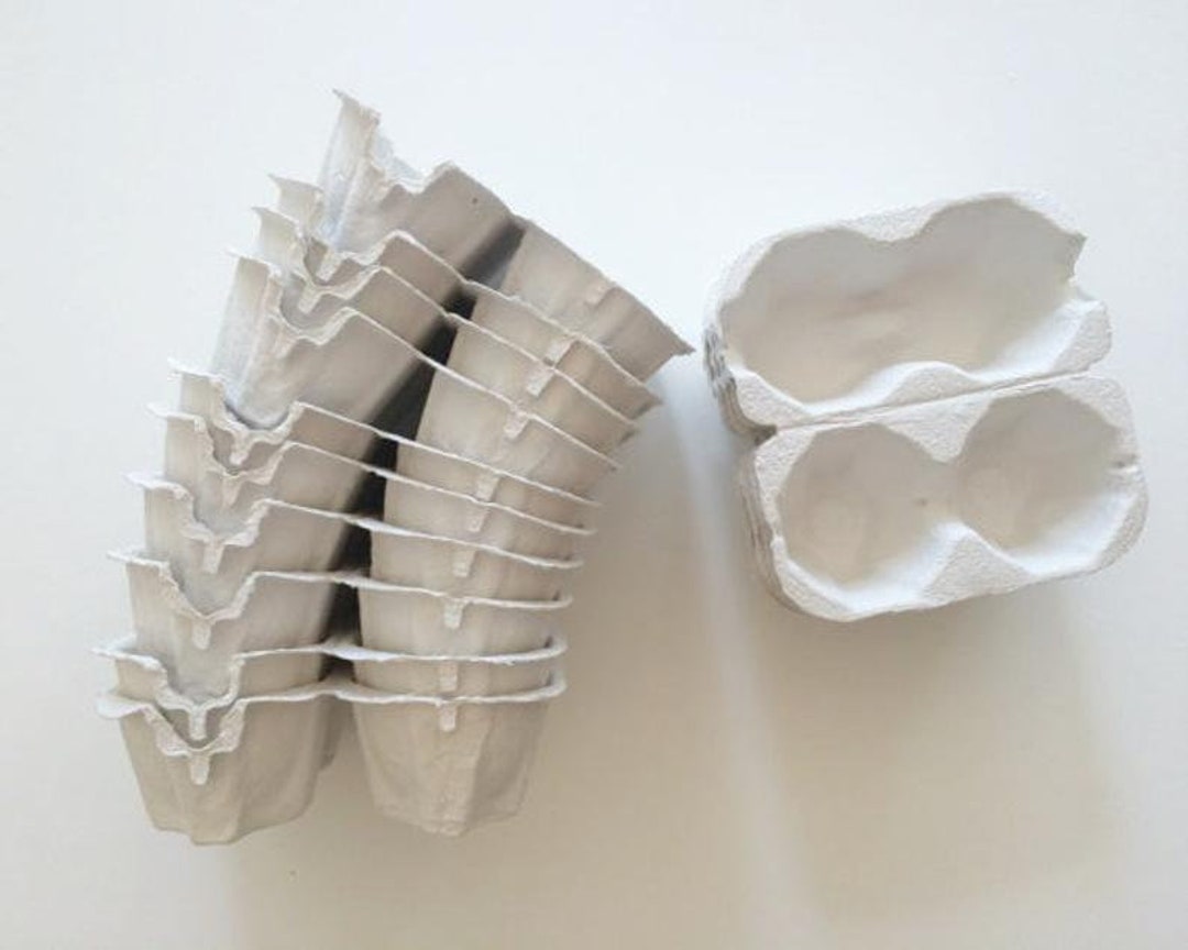 50 Egg Cartons in White (2 Holding Type) - Etsy