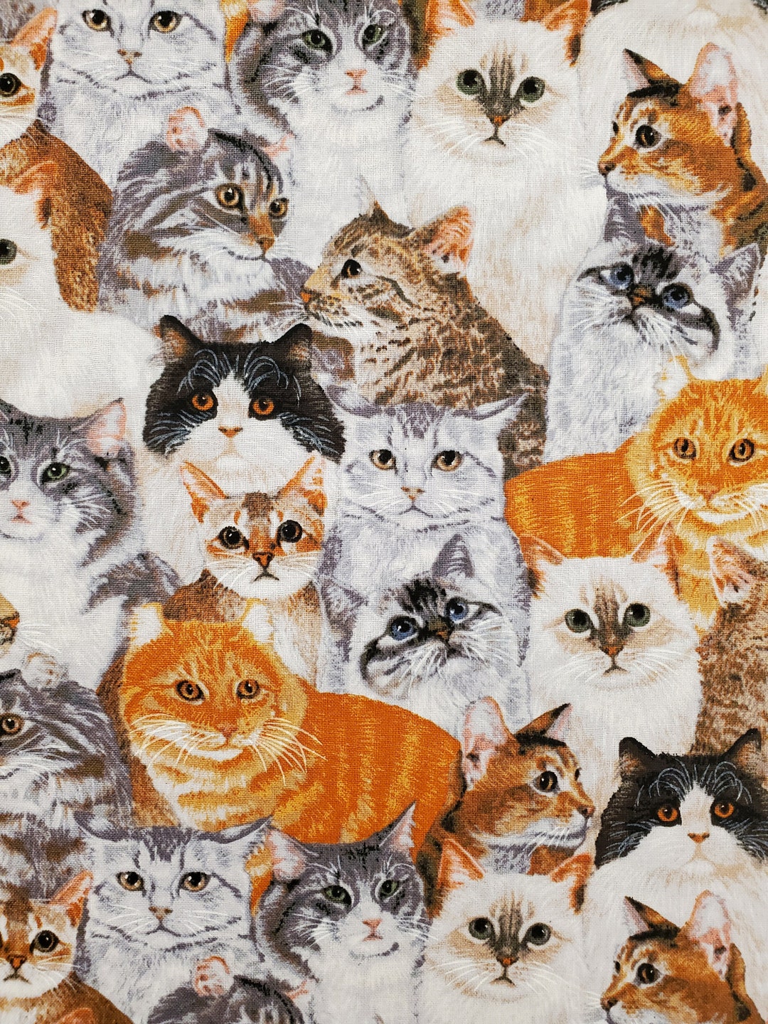 Cat Fabric, Cotton Fabric, Cotton Material, Sewing, Animal Print, Cat ...