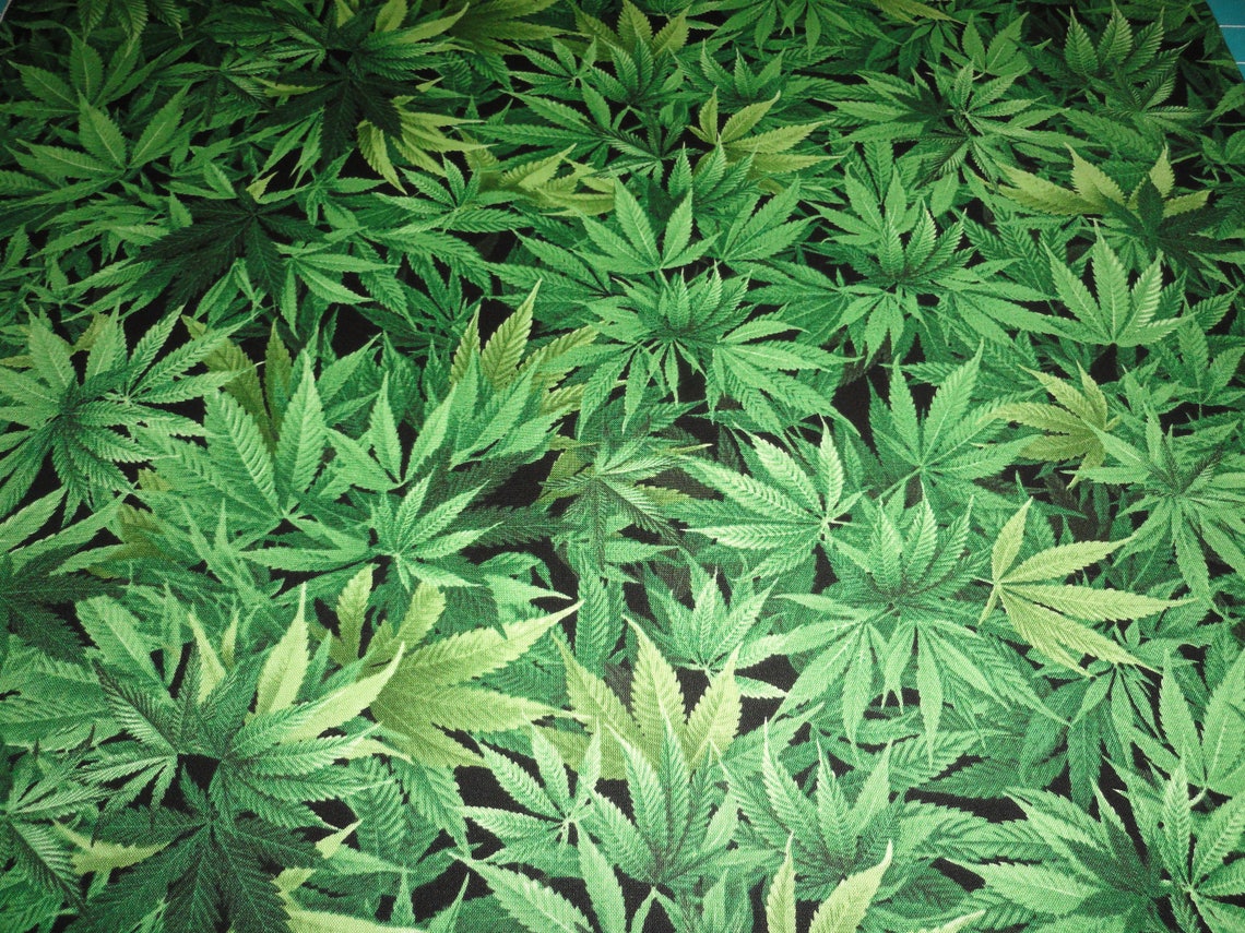 MARIJUANA LEAF Fabric, Cotton Fabric, Cannibus Leaf, Cotton Material ...