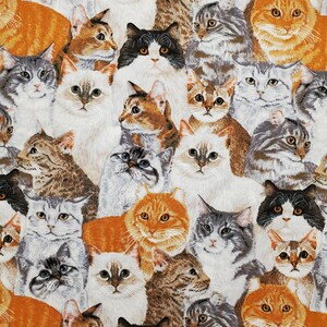 Cat Fabric, Cotton Fabric, Cotton Material, Sewing, Animal Print, Cat ...