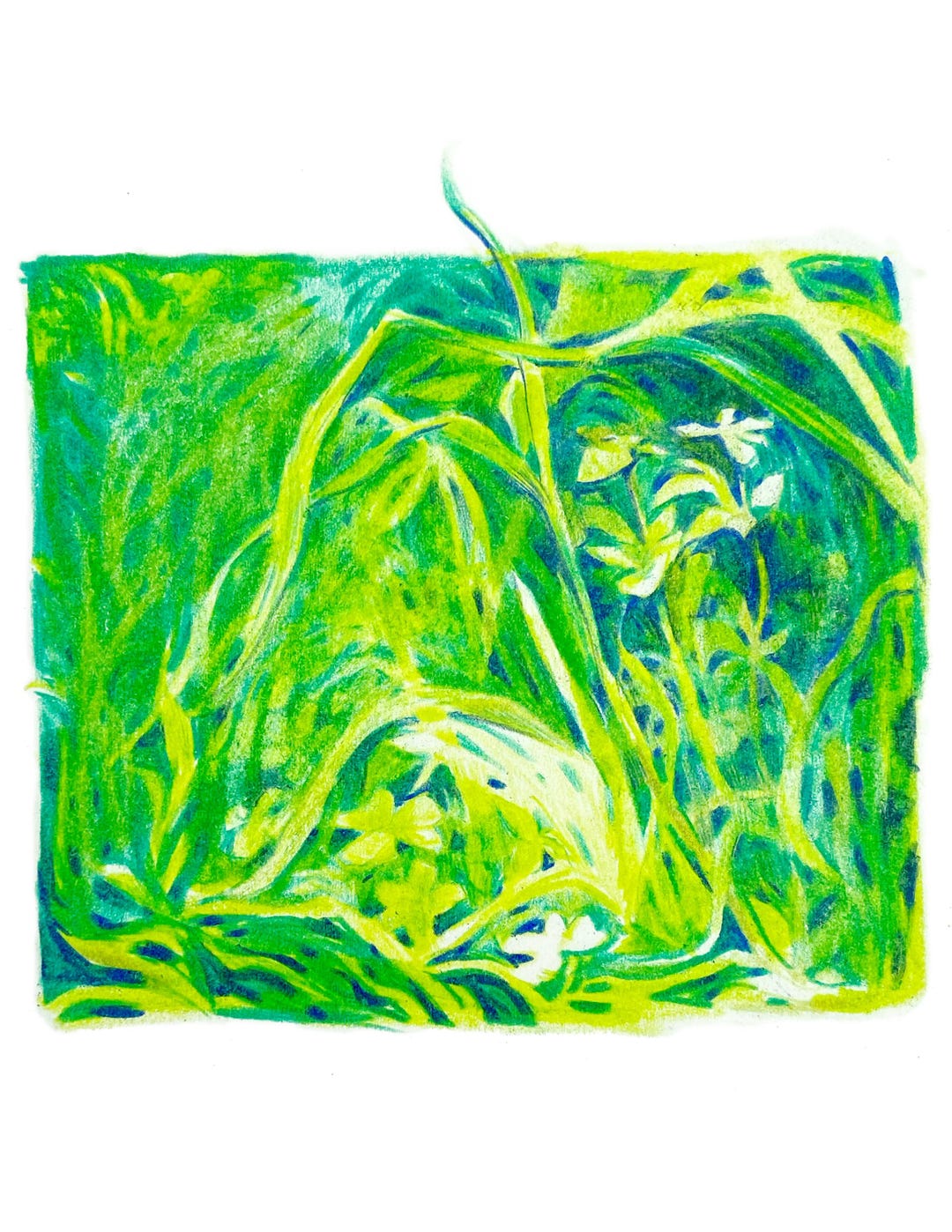 Grass Art Print - Etsy