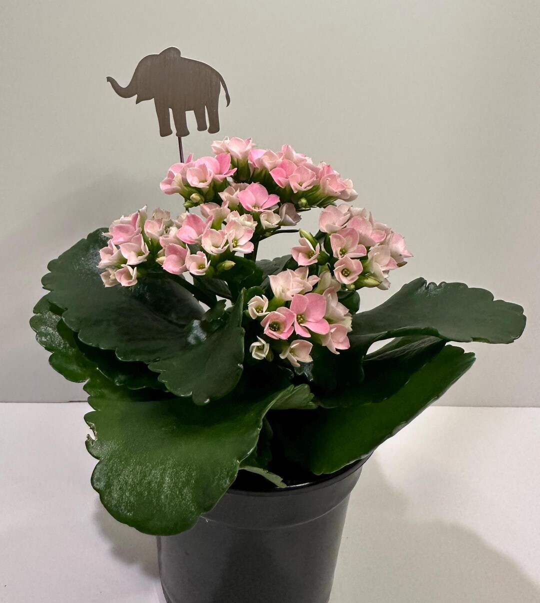 Elephant - Decorative Garden Stake - Etsy