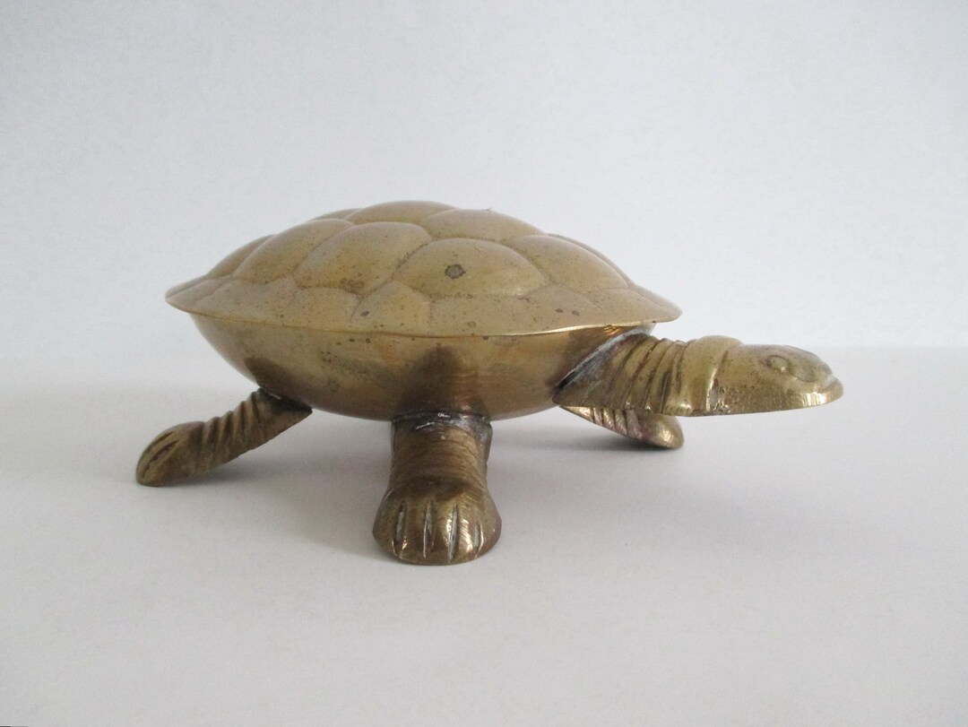 Brass Turtle Hinged Lid Opens Jewelry Trinket Box Stash Jar - Etsy