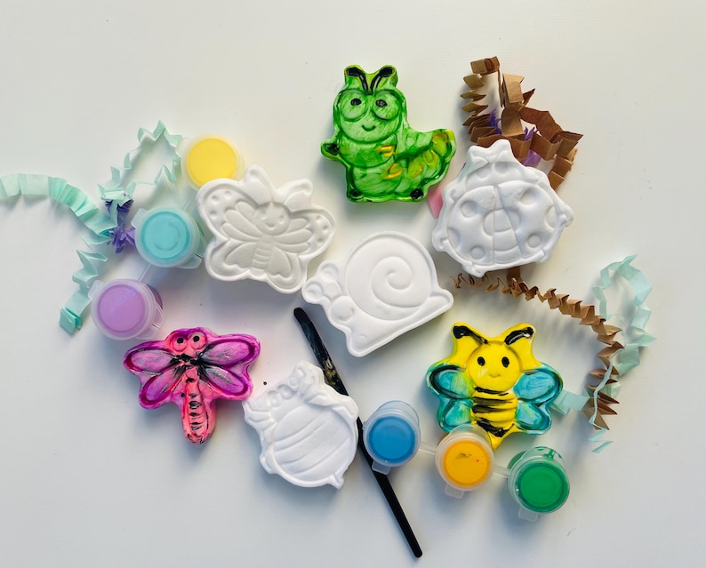 Cute Bug Insect Magnet Paint Kit: DIY Birthday Party Favors, Bugs Theme ...