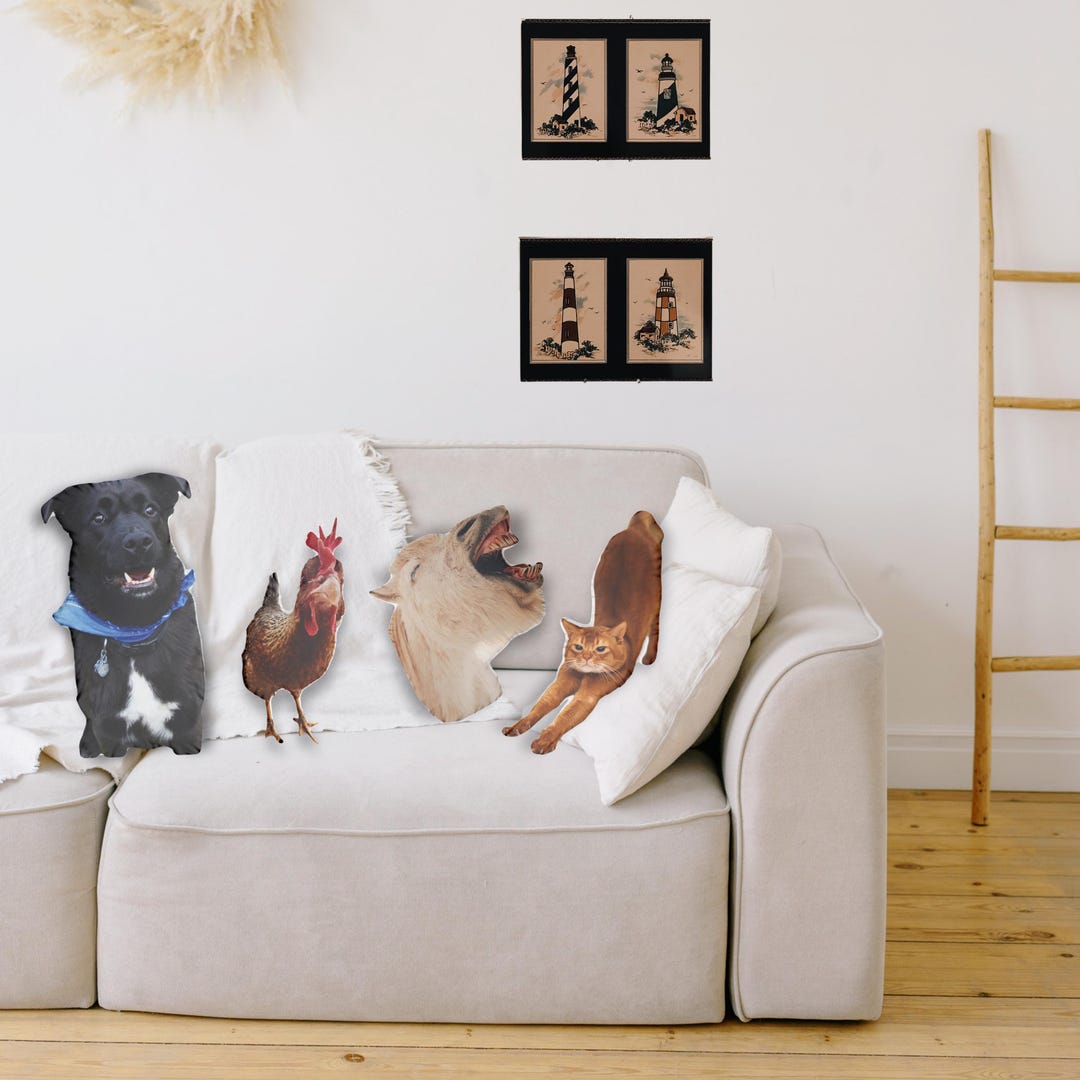 Custom Pet Photo Ugly Pillow, Hilarious Zany Shape, Ugly Pillow for ...