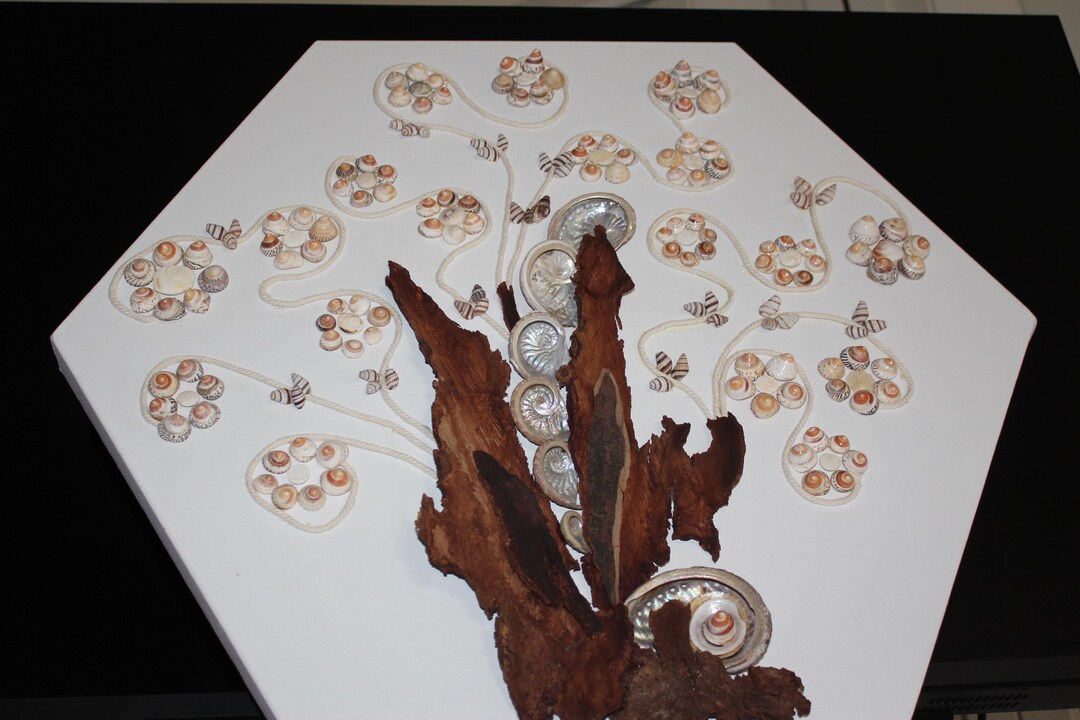 Handcrafted Australian Shell and Wood Wall Art (READ DESCRIPTION) - Etsy