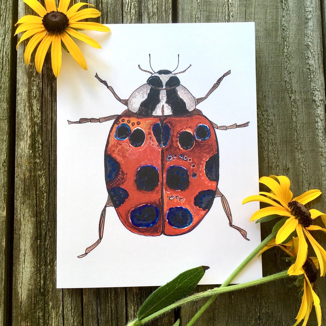 Ladybug Blank Card, Ladybug Art Print, Ladybug Painting, Ladybug Gift ...