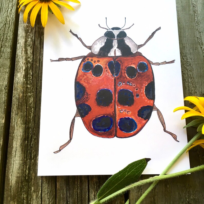 Ladybug Blank Card Ladybug Art Print Ladybug Painting - Etsy