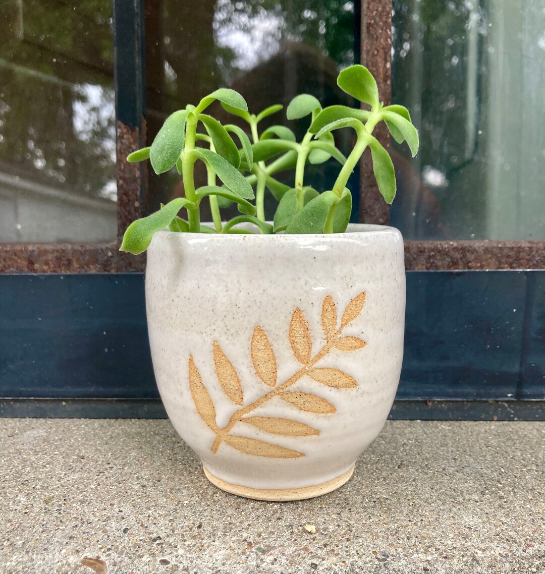 Handleless Pottery Cup, Fern Leaf Planter, White Pottery, Fern Gift ...