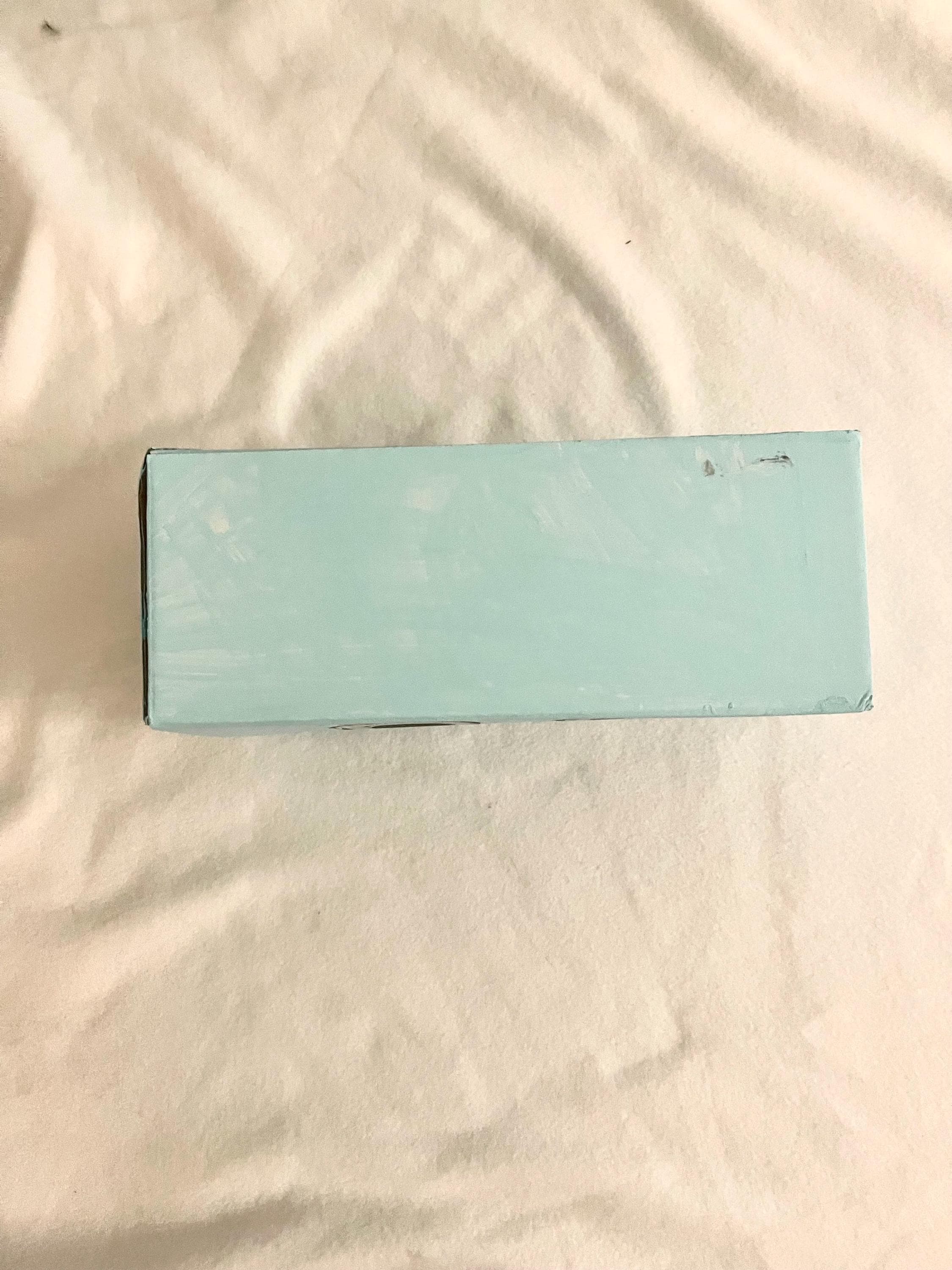 Tisha the (actual) Tissue Box From Dandy’s World! - Etsy