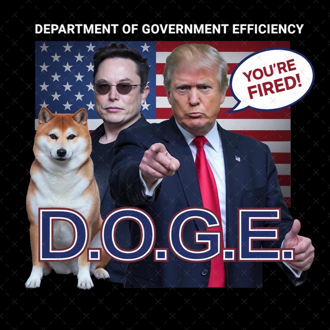Doge Usa, Department of Government Efficiency Png, American Flag Svg ...