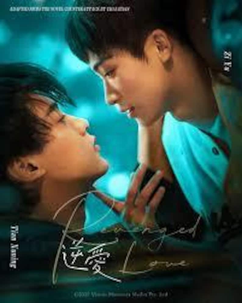 Counter Attack Novel by Chai Jidan High Quality Translation - Revenged Love - Falling in Love ...