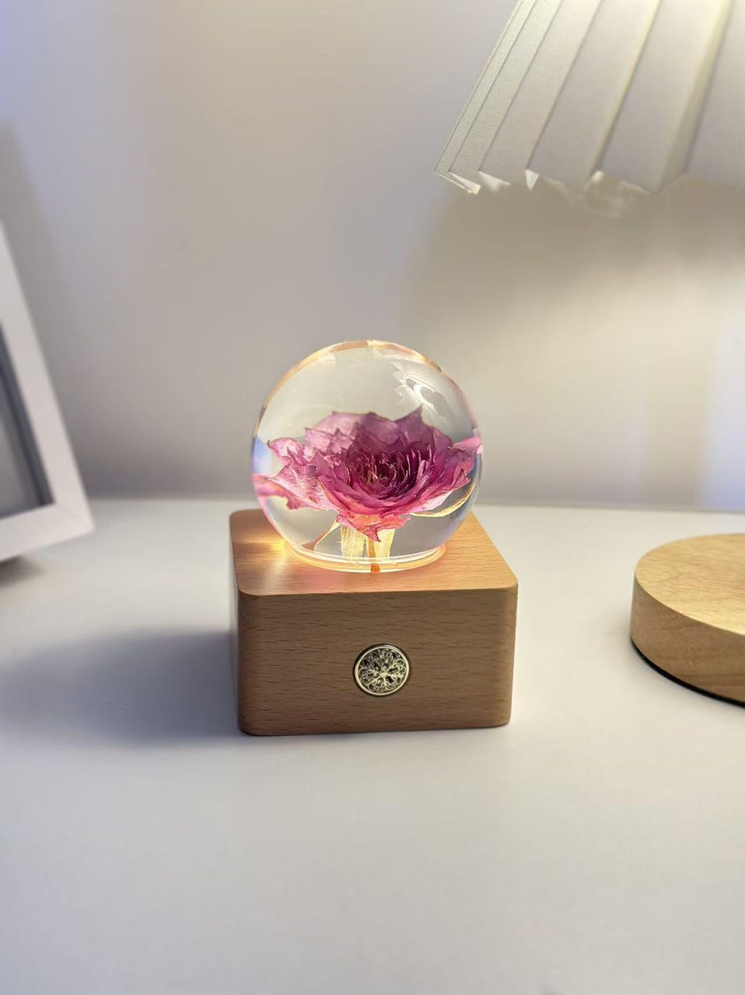 Preserved Pink Rose in Resin LED Night Light | Sweet Home Decor ...