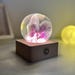 Preserved Pale Pink Orchid Crystal Orb Night Light - Custom Engraved ...