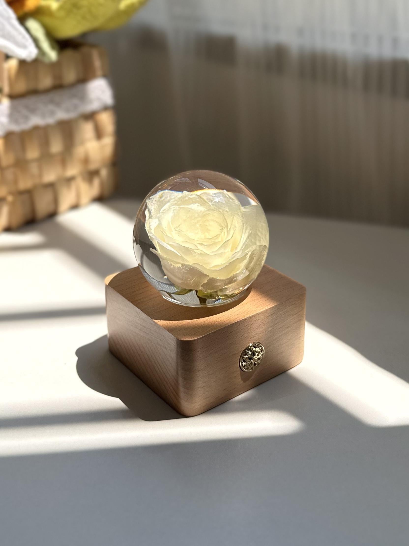 Preserved White Rose in Resin LED Night Light Elegant Home Decor ...