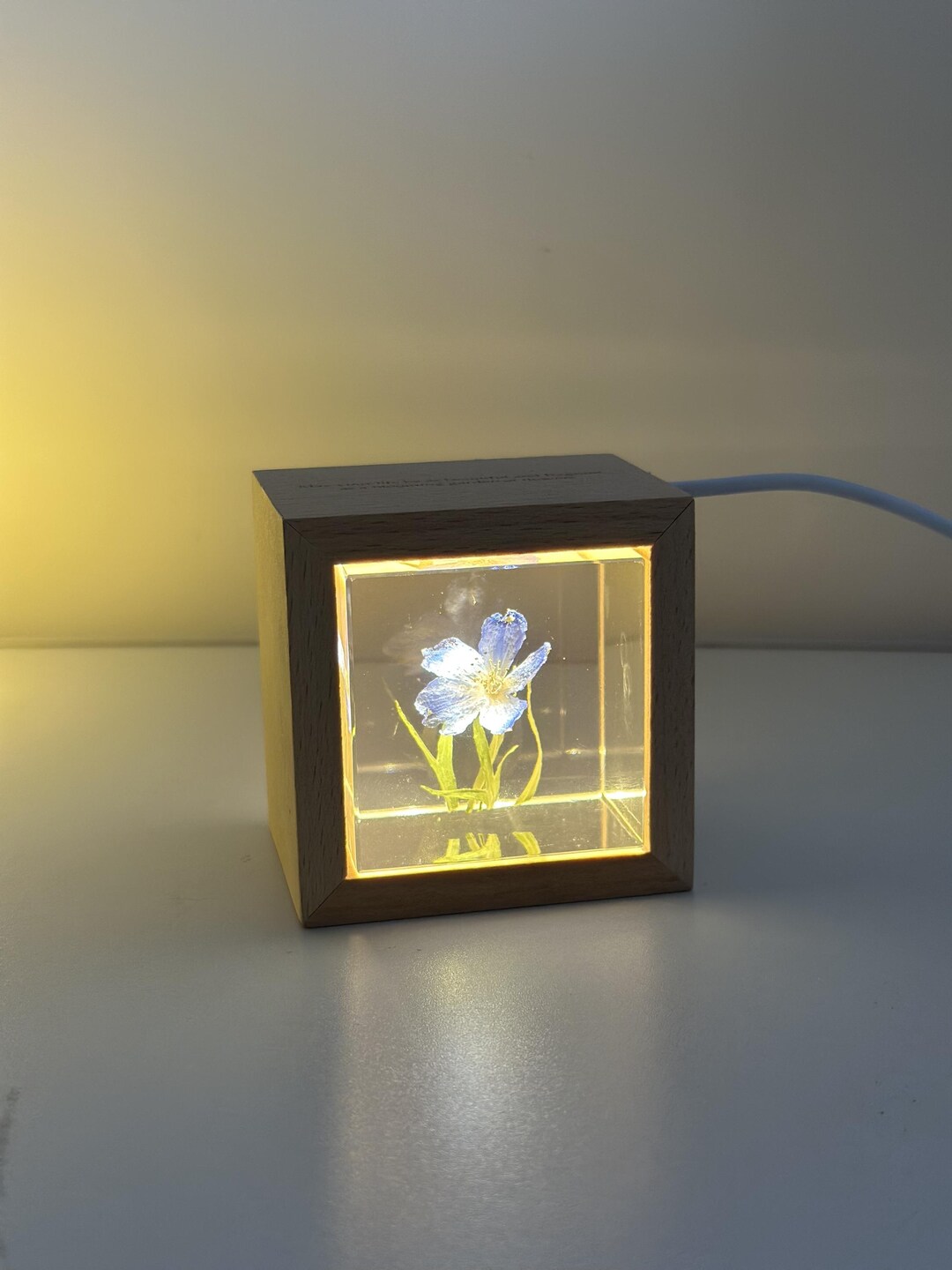 Preserved Tiny Larkspur Cube Night Light | Wooden Frame With Custom ...