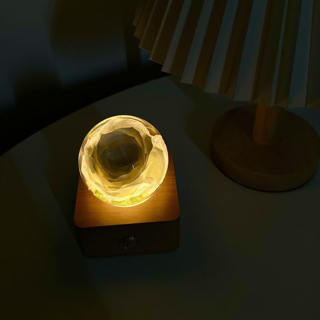 Preserved White Rose in Resin LED Night Light Elegant Home Decor ...