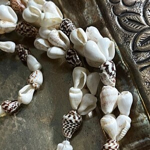 Vintage Seashell Lei Necklace Hawaii Island 15.5 Inches Shells ...