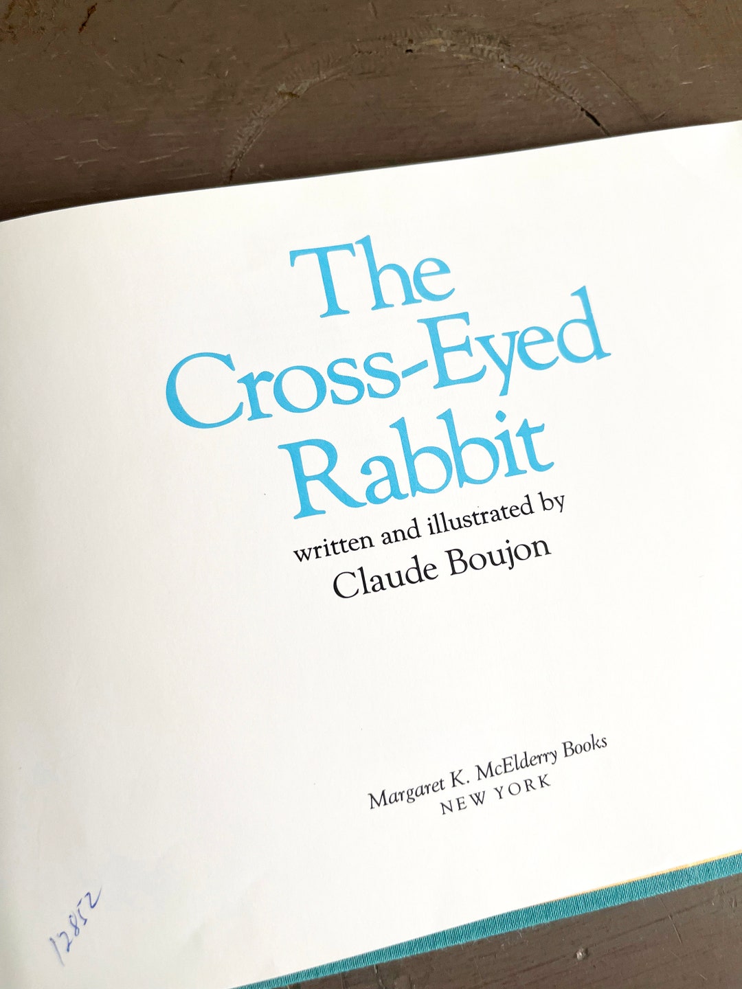 Bunny Book for Kids, the Cross-eyed Rabbit 1980s Kids Book by Claude ...