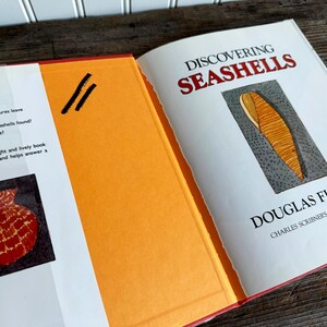 Discovering Seashells by Douglas Florian 1986 Children's Book Hardcover ...