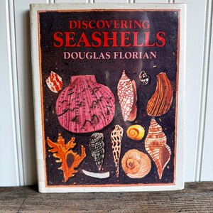 Discovering Seashells by Douglas Florian 1986 Children's Book Hardcover ...