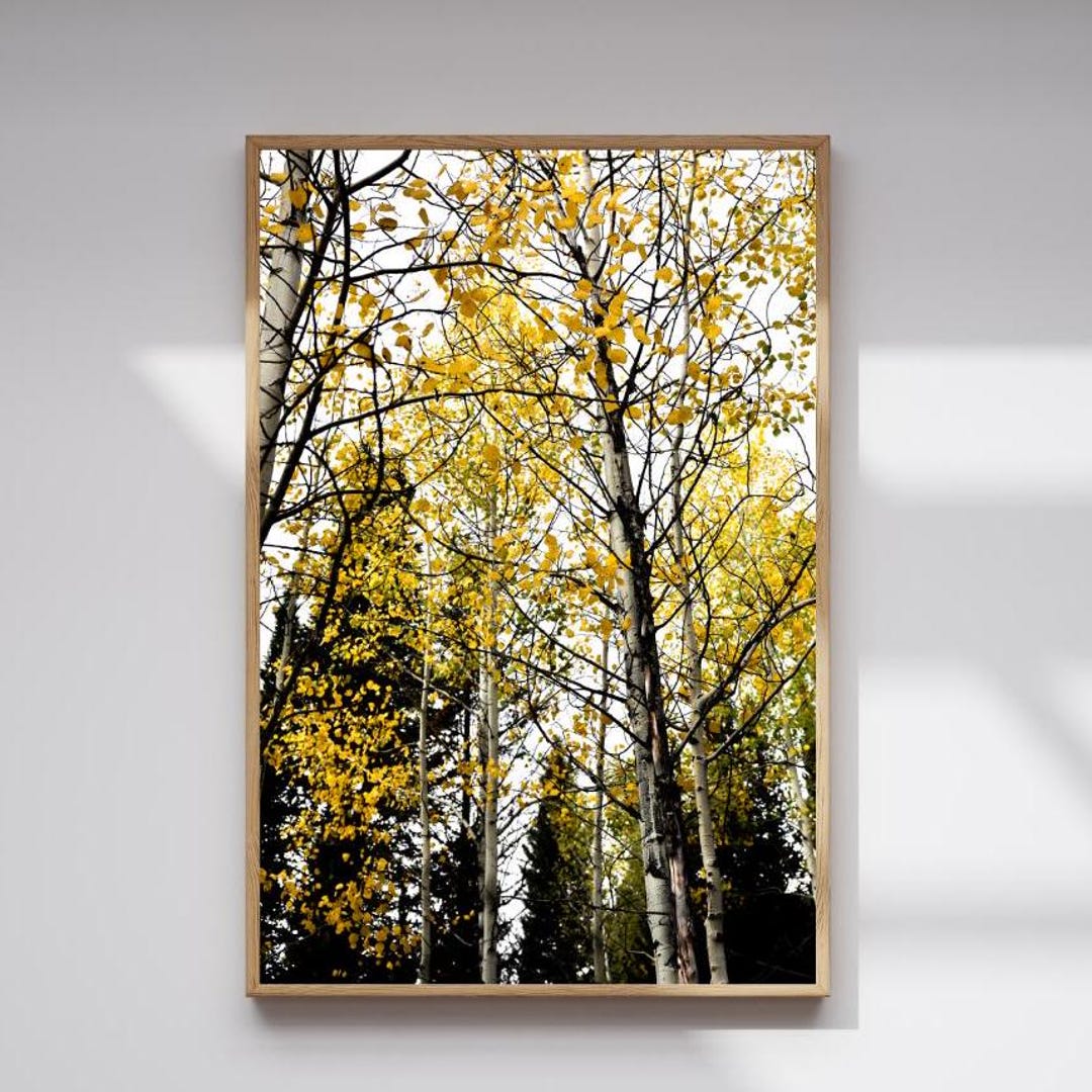 Aspen Tree Print, Yellow Aspen Tree Wall Decor, Aspen Forest Print ...