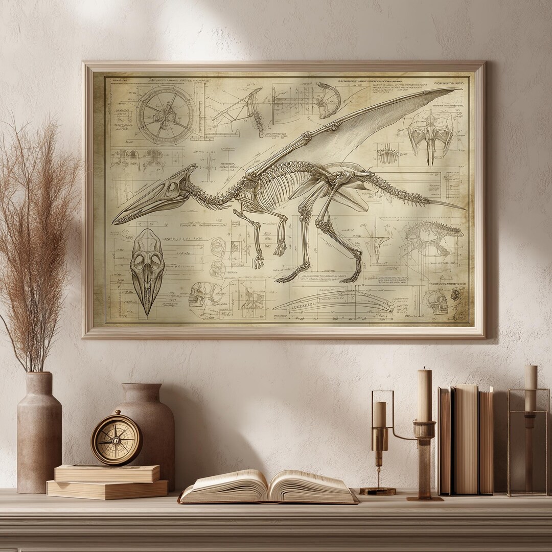 Pterodactyl Anatomy Print – Vintage Dinosaur Skeleton Scientific ...