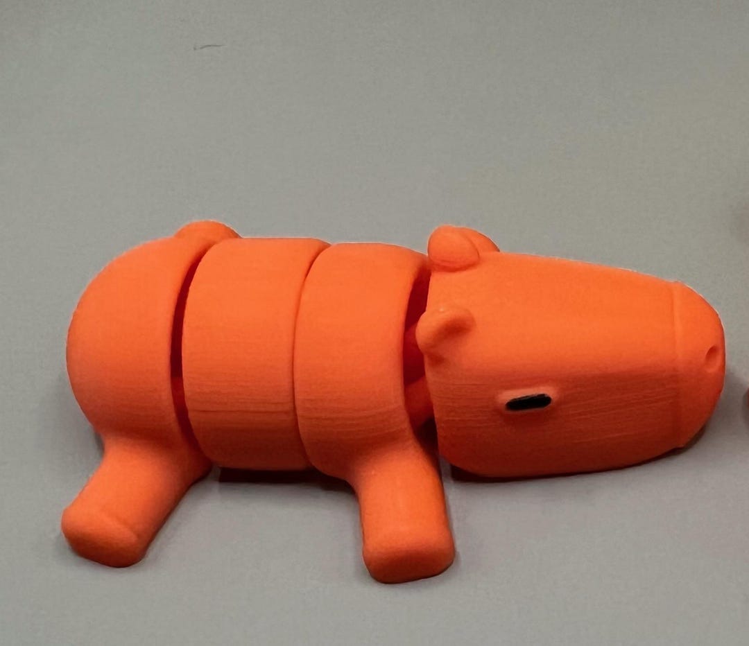 Flexi Fidget Cute Capybara 3D Printed Model Gift Articulated Available ...