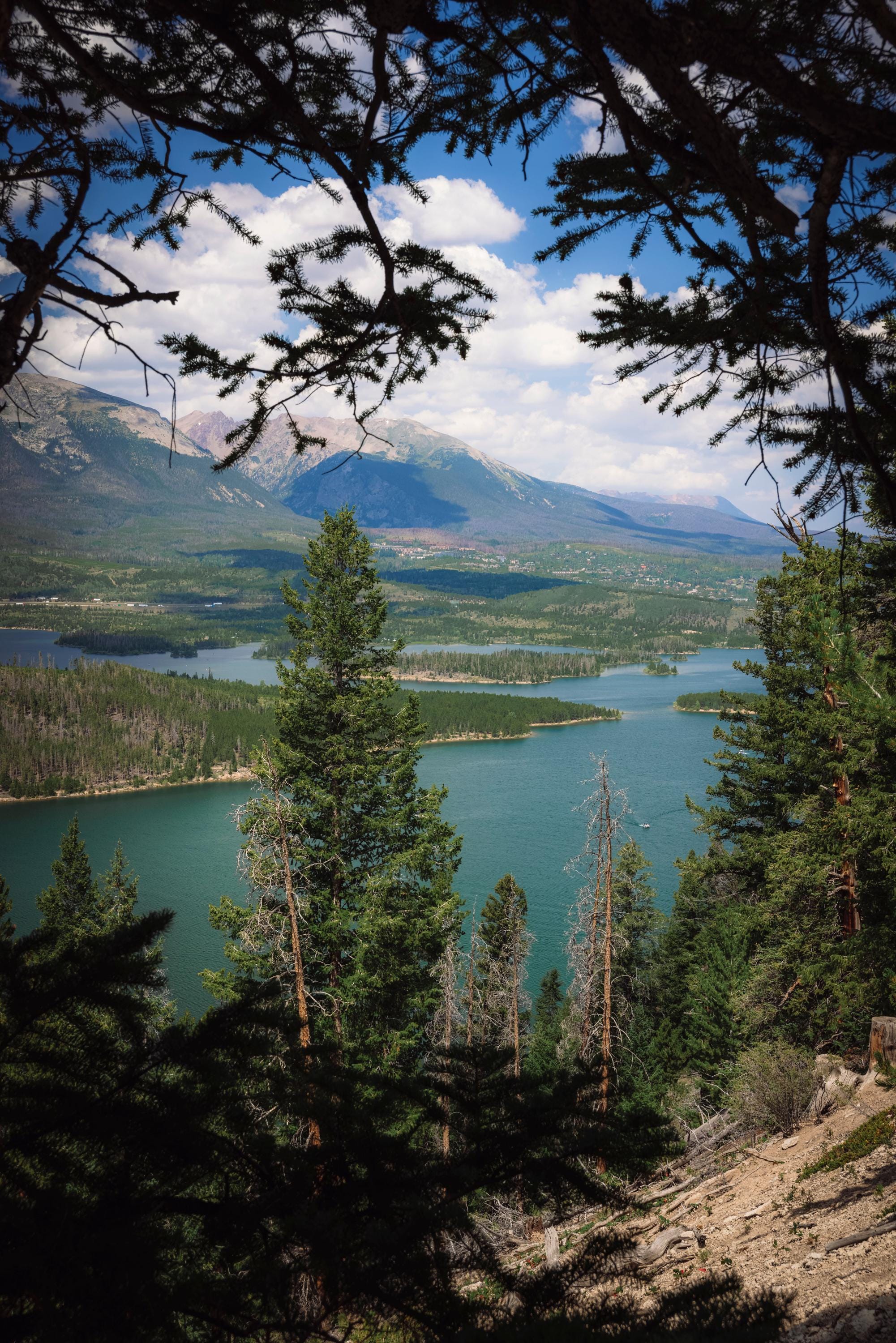 Printable Sapphire Point Trees Photography - Etsy