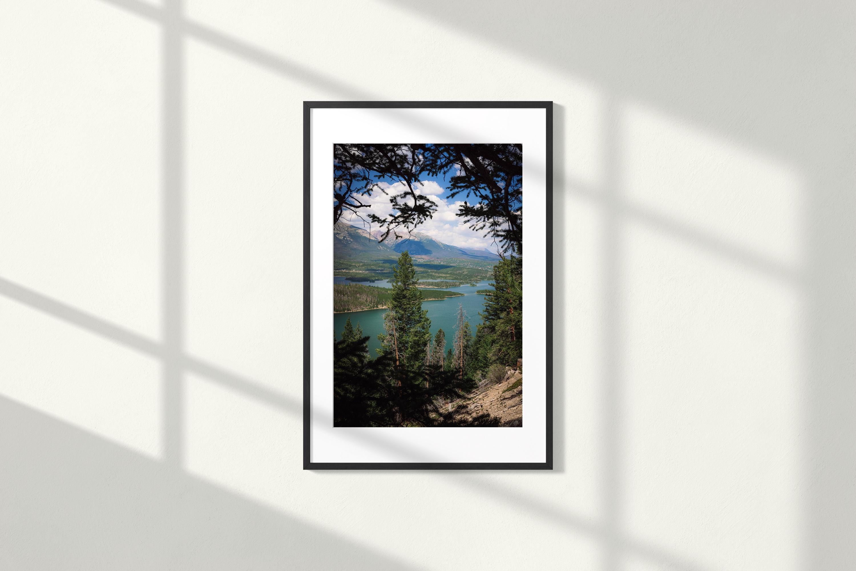Printable Sapphire Point Trees Photography - Etsy