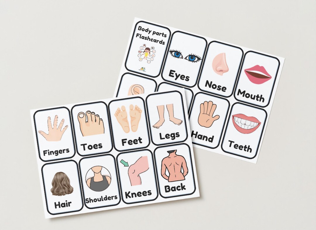 Body Parts Flashcards-sen Adapted-large Images & Text for Easy ...