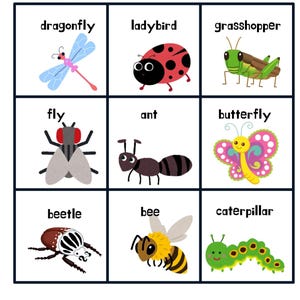 Insect Printable Memory Matching Game for Toddlers Preschool/ Home ...