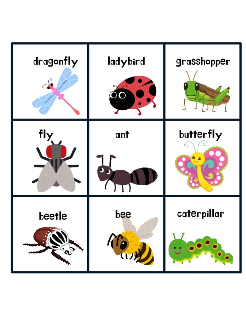 Insect Printable Memory Matching Game for Toddlers Preschool/ Home ...