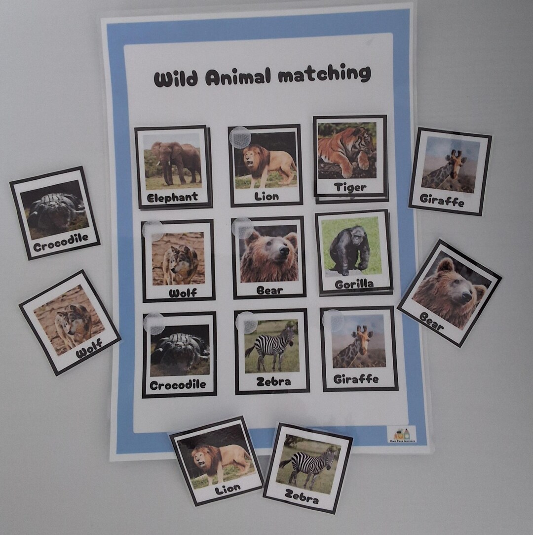 Matching Game Printable Memory Wild Animal Game for Toddlers ...