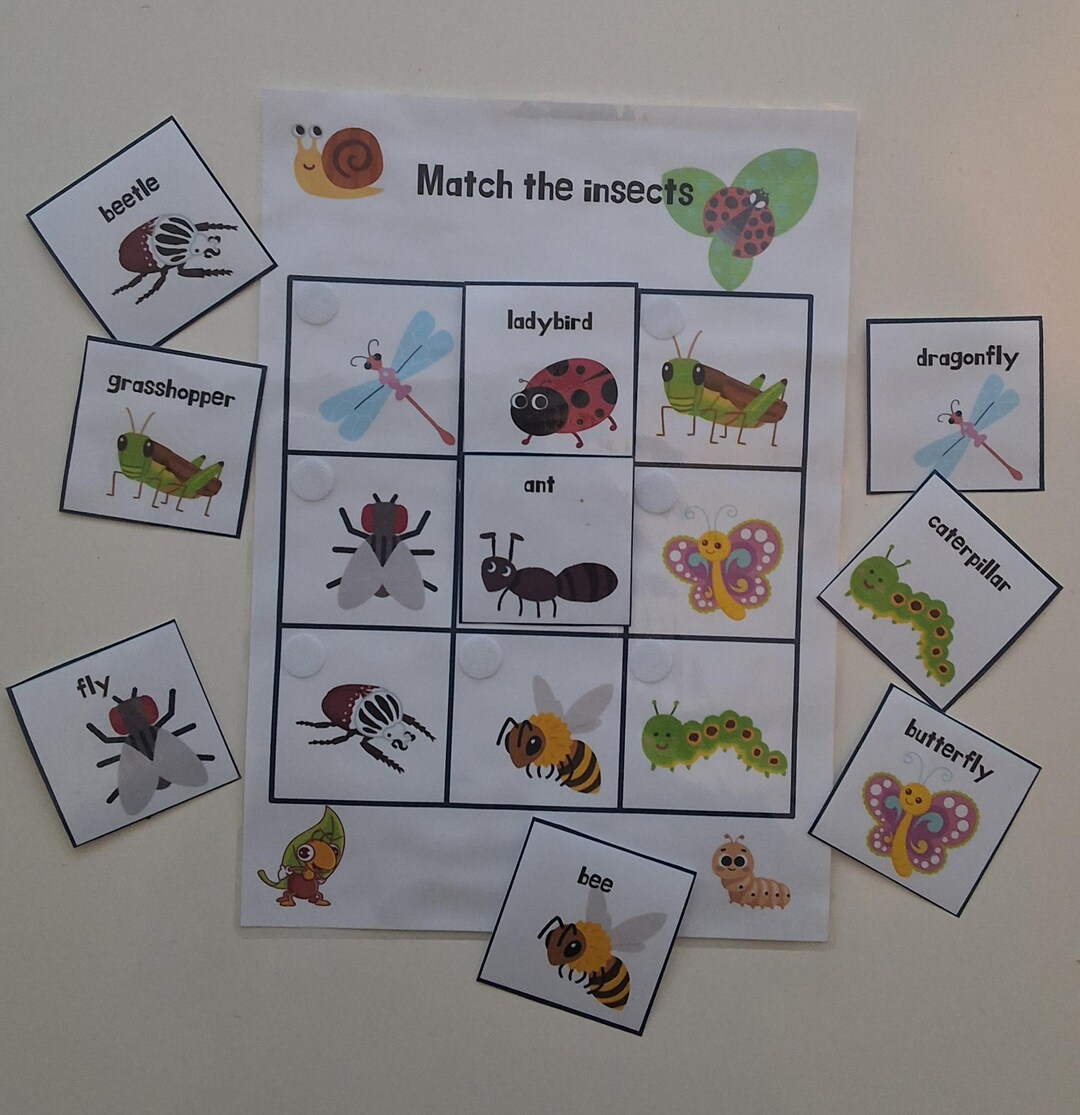 Insect Printable Memory Matching Game for Toddlers Preschool/ Home ...