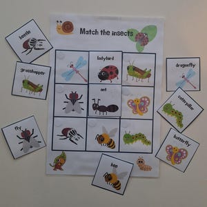 Insect Printable Memory Matching Game for Toddlers Preschool/ Home ...