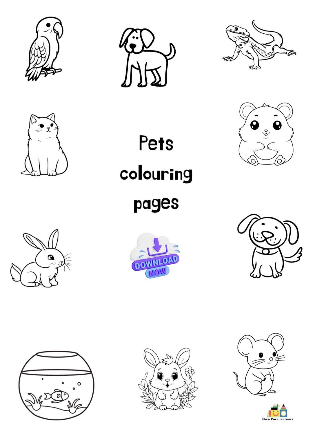 Pet- Themed Colouring Pages- Fun Creative Digital Download for Kids - Etsy
