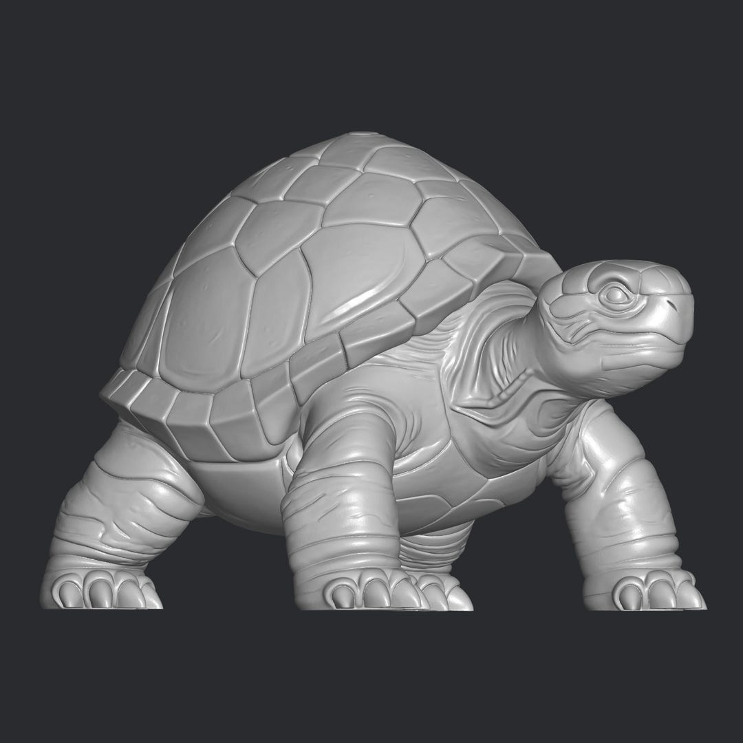 Old Tortoise Stl File 3d Printing, 3d Print File, 3d Stl, Super Hero ...